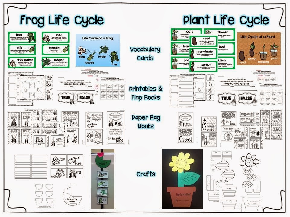 Life Cycles Unit is Ready!