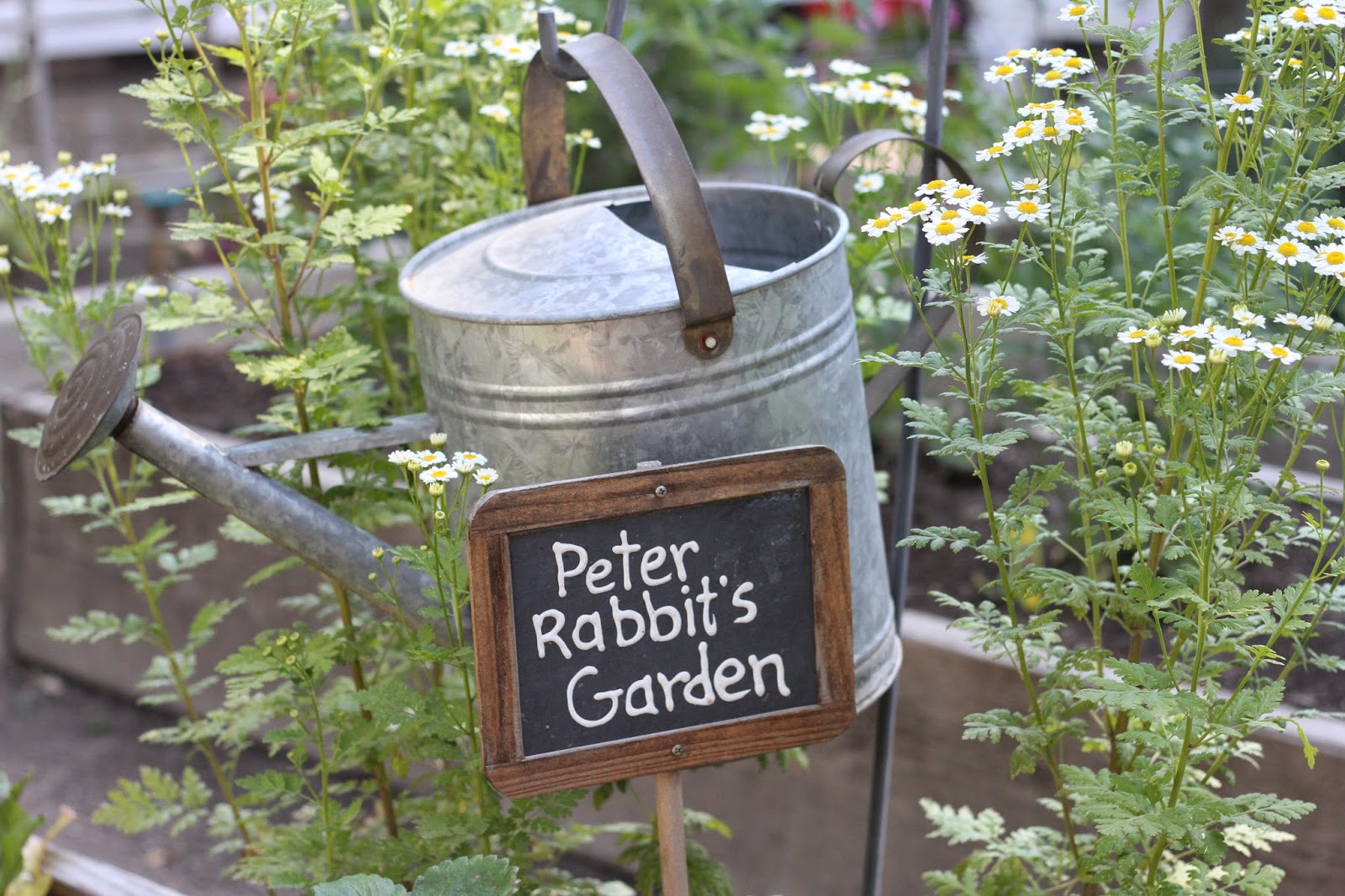 jess and the gang: A Peter Rabbit Garden Party