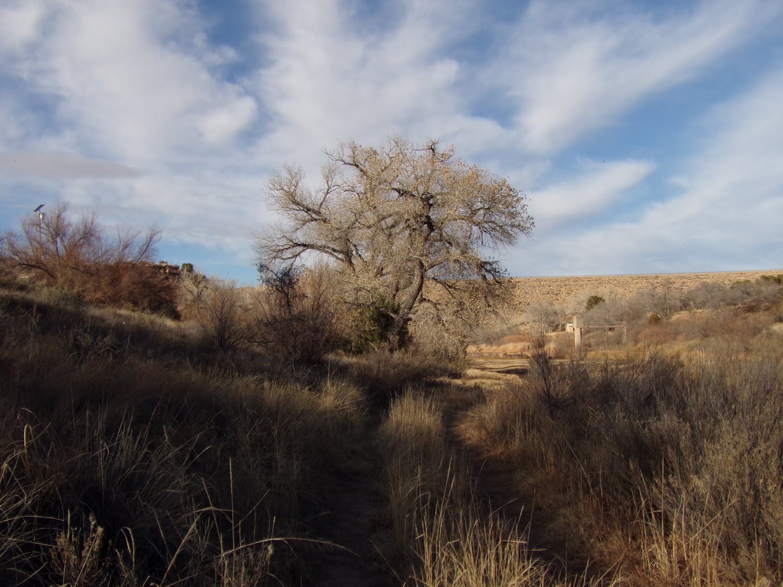 Sumner Lake State Park, Fort Sumner, New Mexico