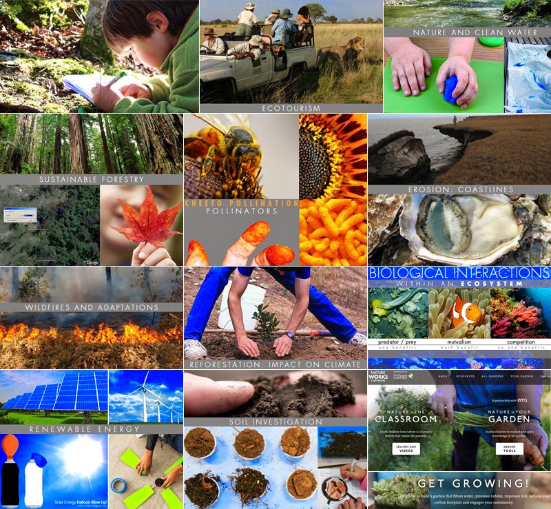 E is for Explore!: Hands-On Science Using Nature Works