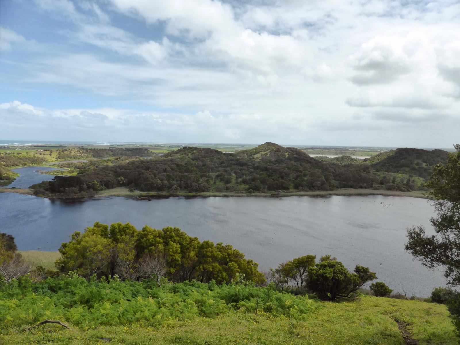 Natalie in Melbourne: Warrnambool & the Great Ocean Road
