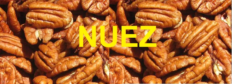 Propiedades de la nuez ¿Por que consumirla? ~ Dietas y Salud Corporal.