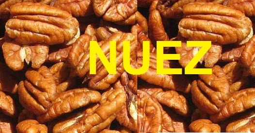 Propiedades de la nuez ¿Por que consumirla?