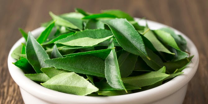 7 Manfaat daun kari untuk kesehatan | Rickypedia