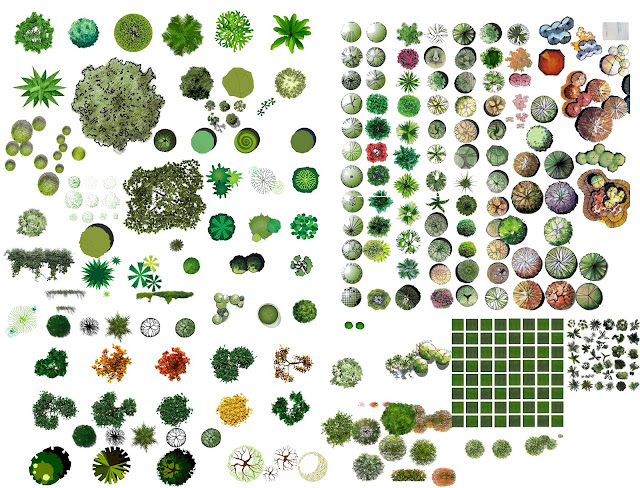 Tree images for ARCHITECTURAL perspective - Architectural 3d library