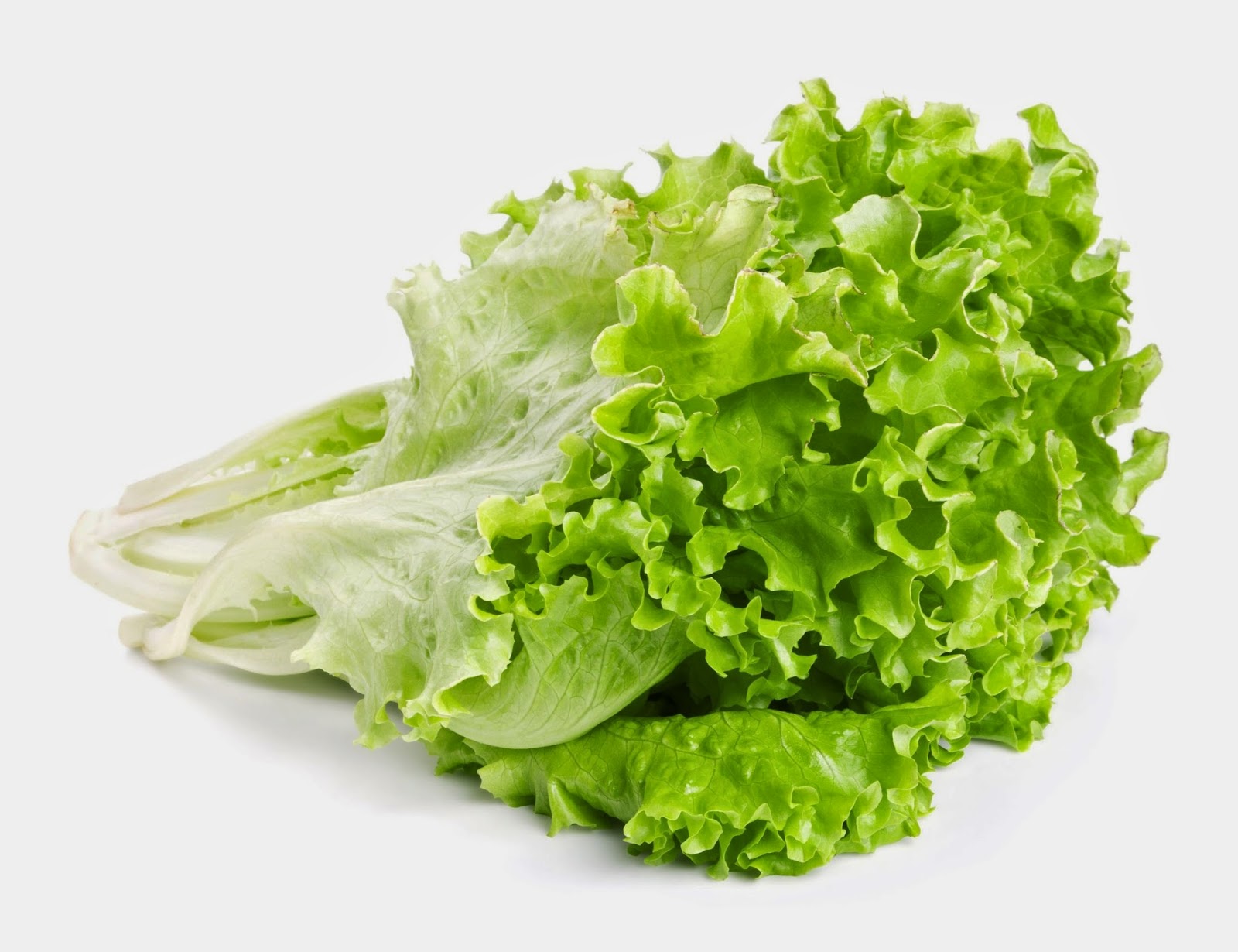 Hortalizas de Hoja. ~ Guía para plantar