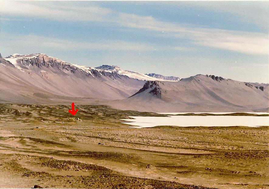 Maalie: Maalie in Antarctica