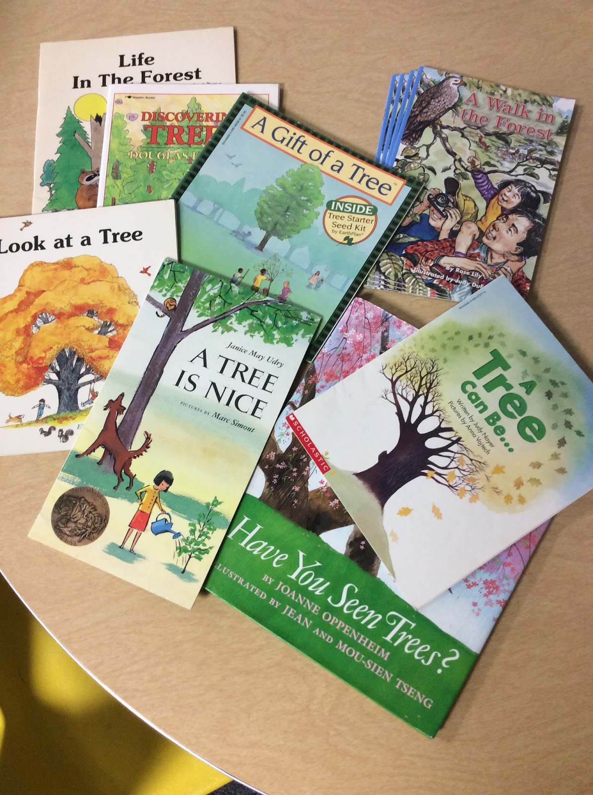 Kindergarten: Hand-in-hand we grow: Trees and seasons