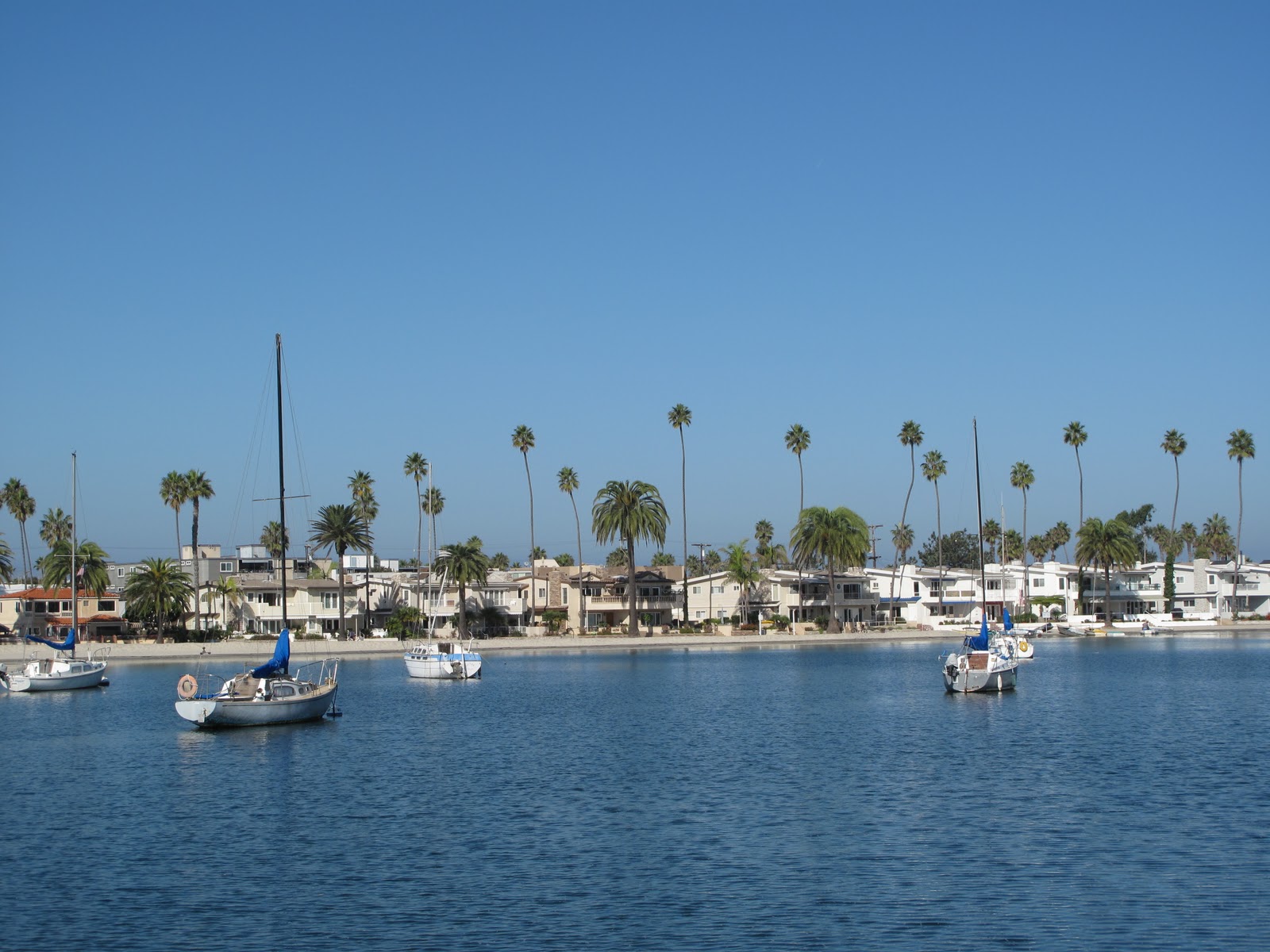 Three Hour Tour: Mission Bay and San Diego