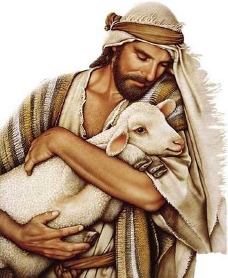 franciscanponderings: With a Shepherd's Heart