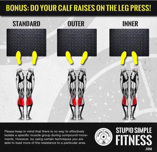 Anything and Everything: Leg Press Variations