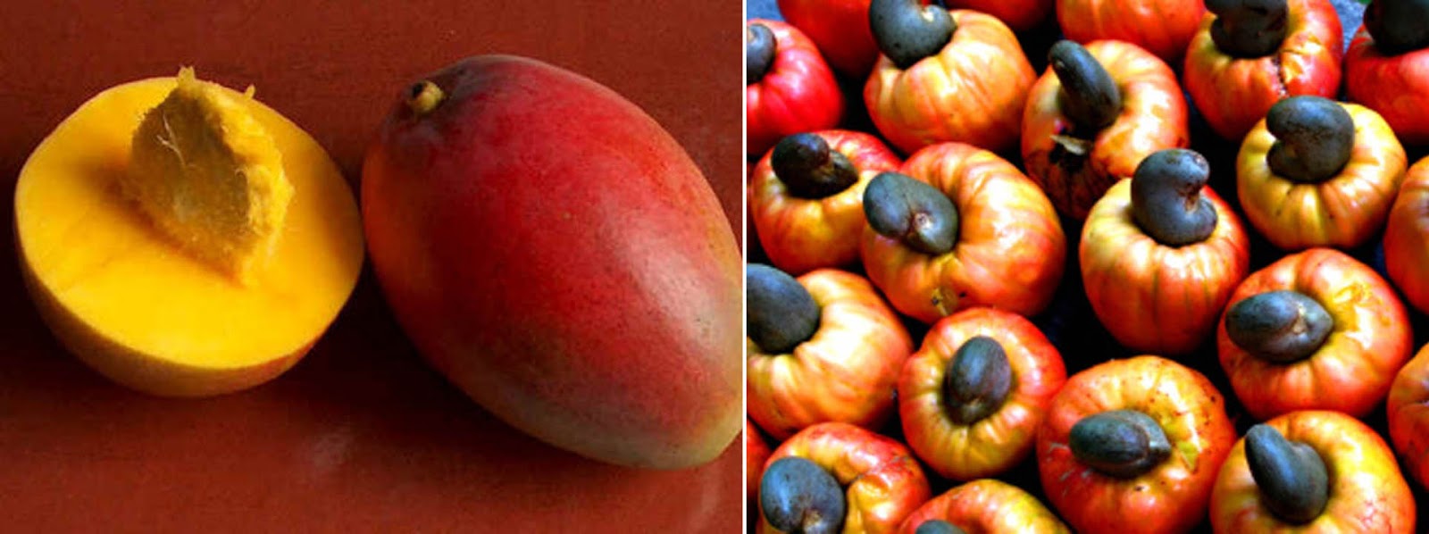 As Many Exceptions As Rules: A Death Apple A Day Keeps…..