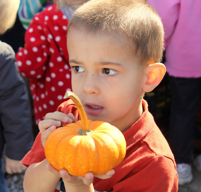 Arrows Sent Forth: Hackman's Farm Market