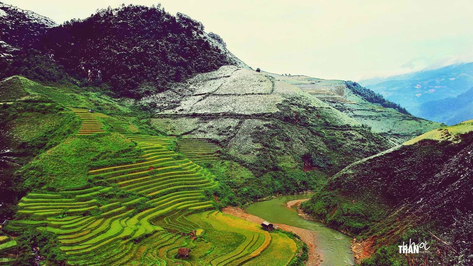 khoitranduc