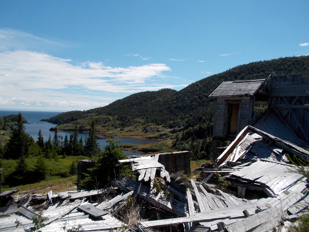 My Newfoundland Kayak Experience: On the ground in Ireland's Eye