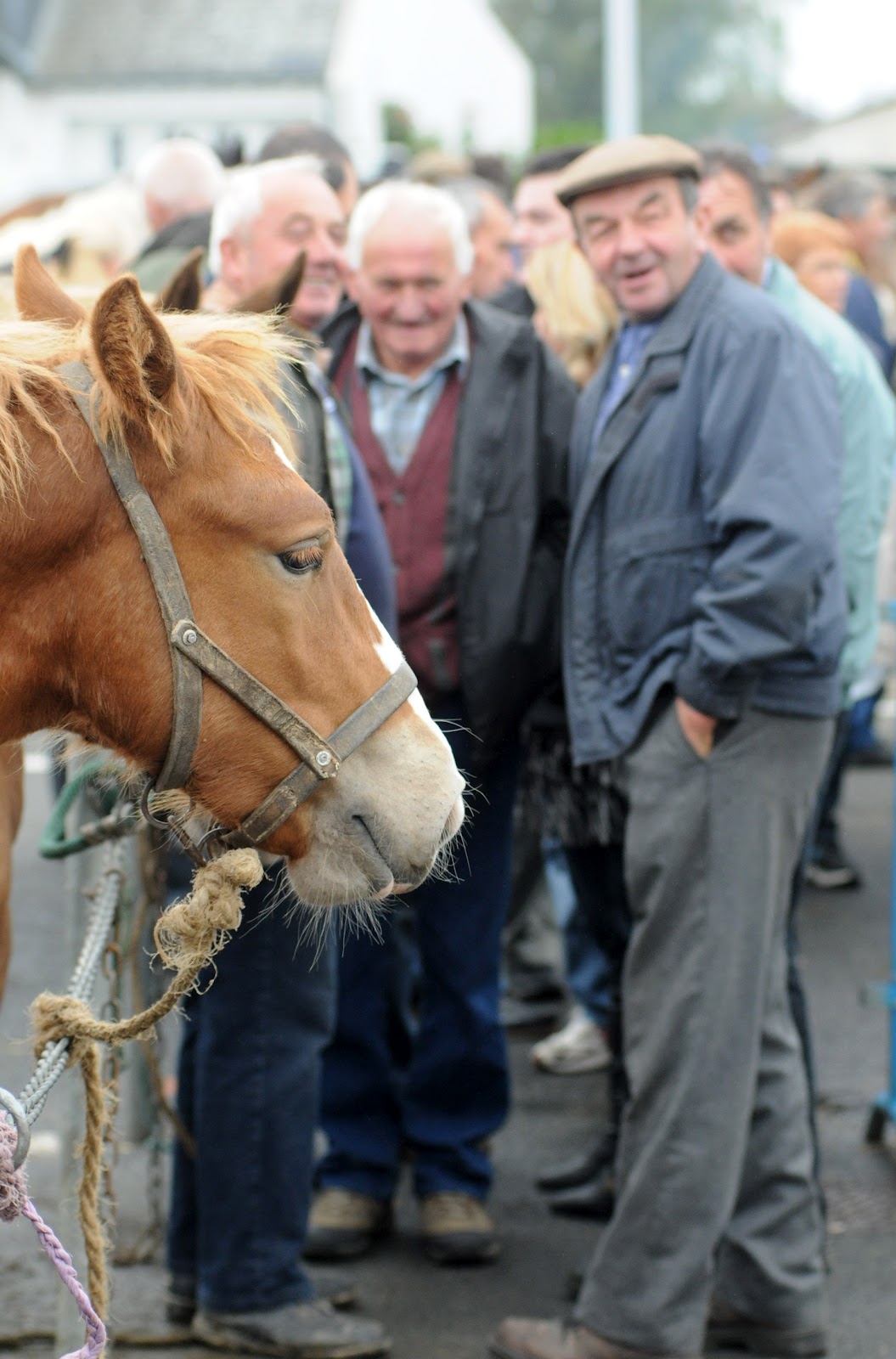 les Verdier du 44: Panard ou cagneux?