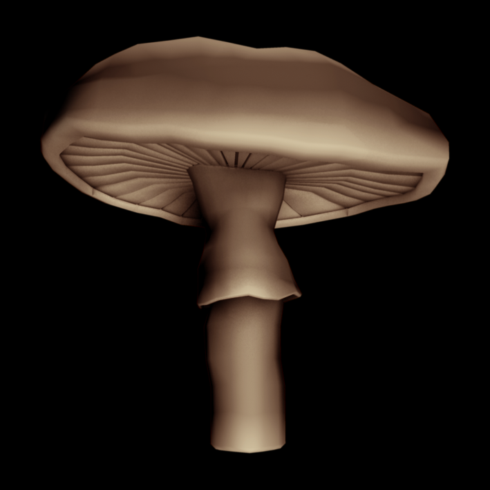 The Spectacular Science Blog: Lifecycle of a Mushroom: Mushroom Test Model