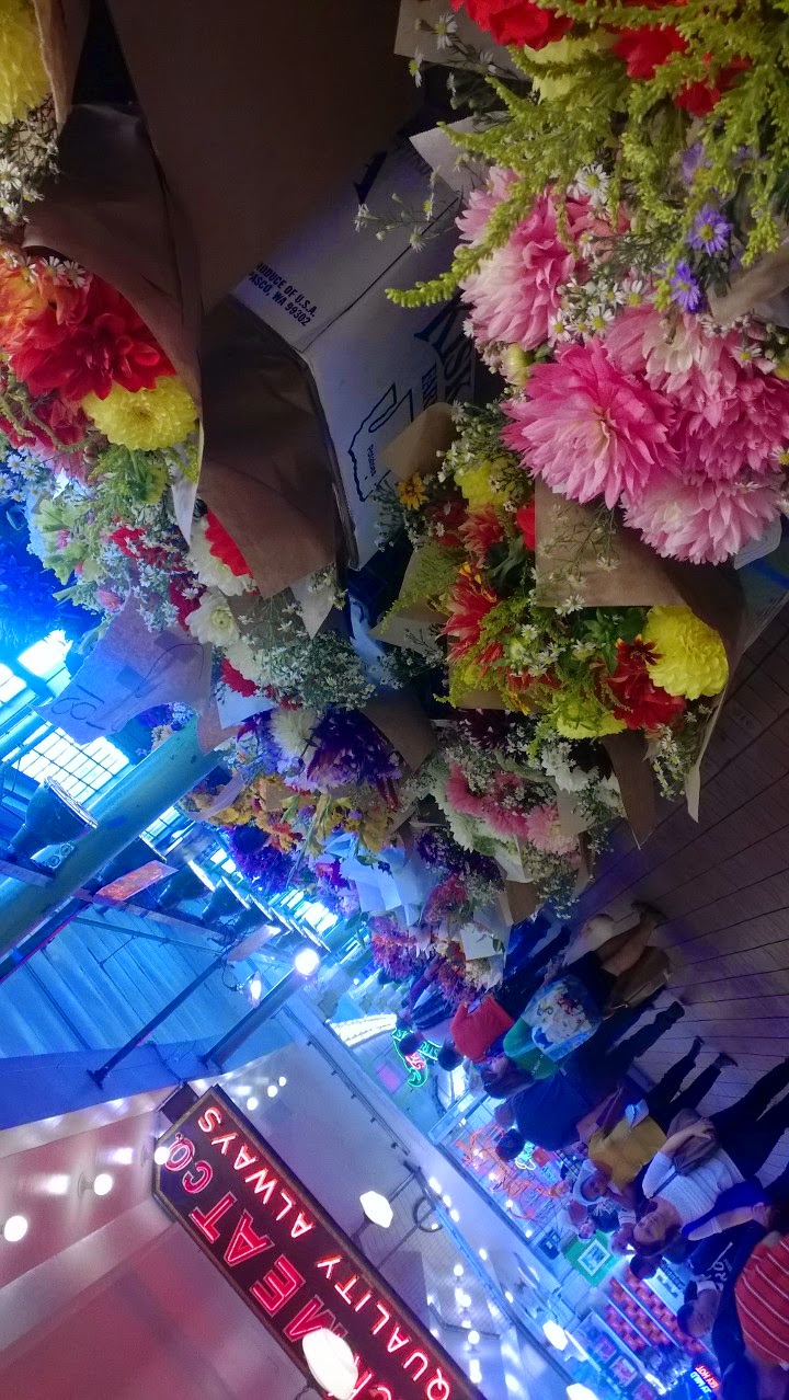 [Amanda MacLean]: Artist's Point - Mt. Baker, Washington