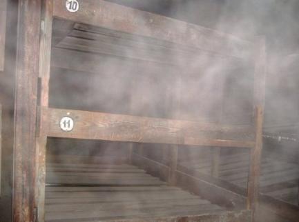 THE HAUNTING OF AUSCHWITZ-BIRKENAU | Haunted Earth`s Ghost World