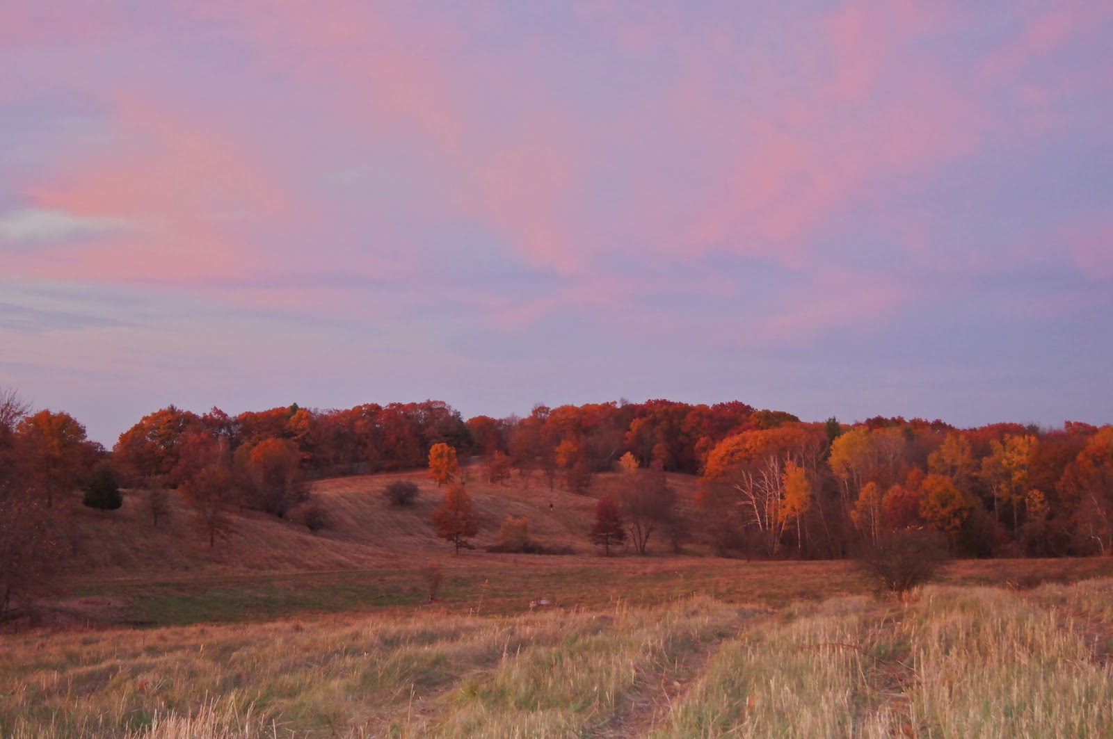 Things with Wings: Sunset at Breakneck Hill