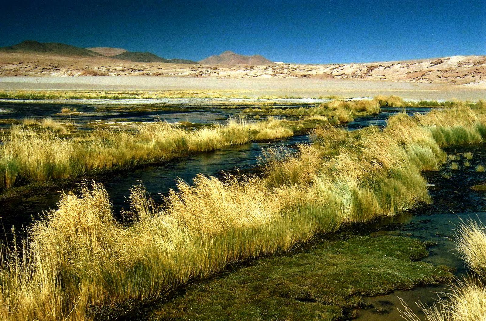 SUDAMÉRICA, MI LUGAR: Río Los Patos, Catamarca, Argentina