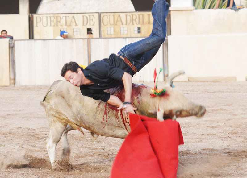 Alejandro Amaya Matador