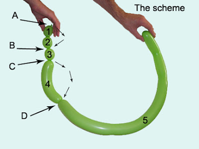 Balloon animals twisting instructions: Balloon snake