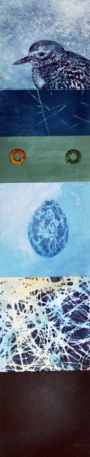 Lighthouse Studio: Stewart Island Rakiura Community Conservation Art ...