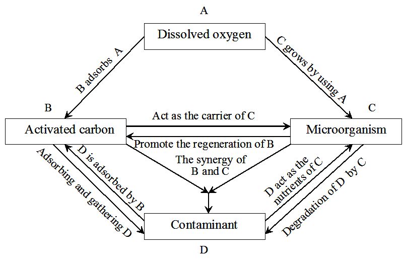 amudu: The Biological Activated Carbon Process for Water Purification