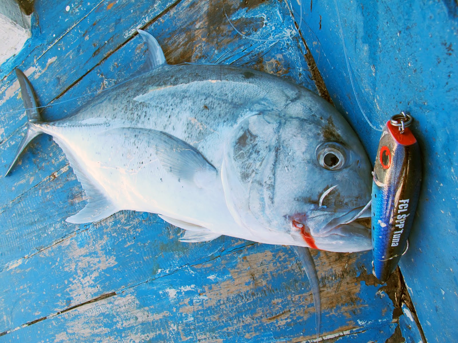 Tackle Source: DEEP BLUE Part One