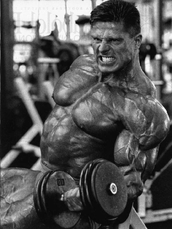 body building workout tips and advice: Photo gallery of the best ...