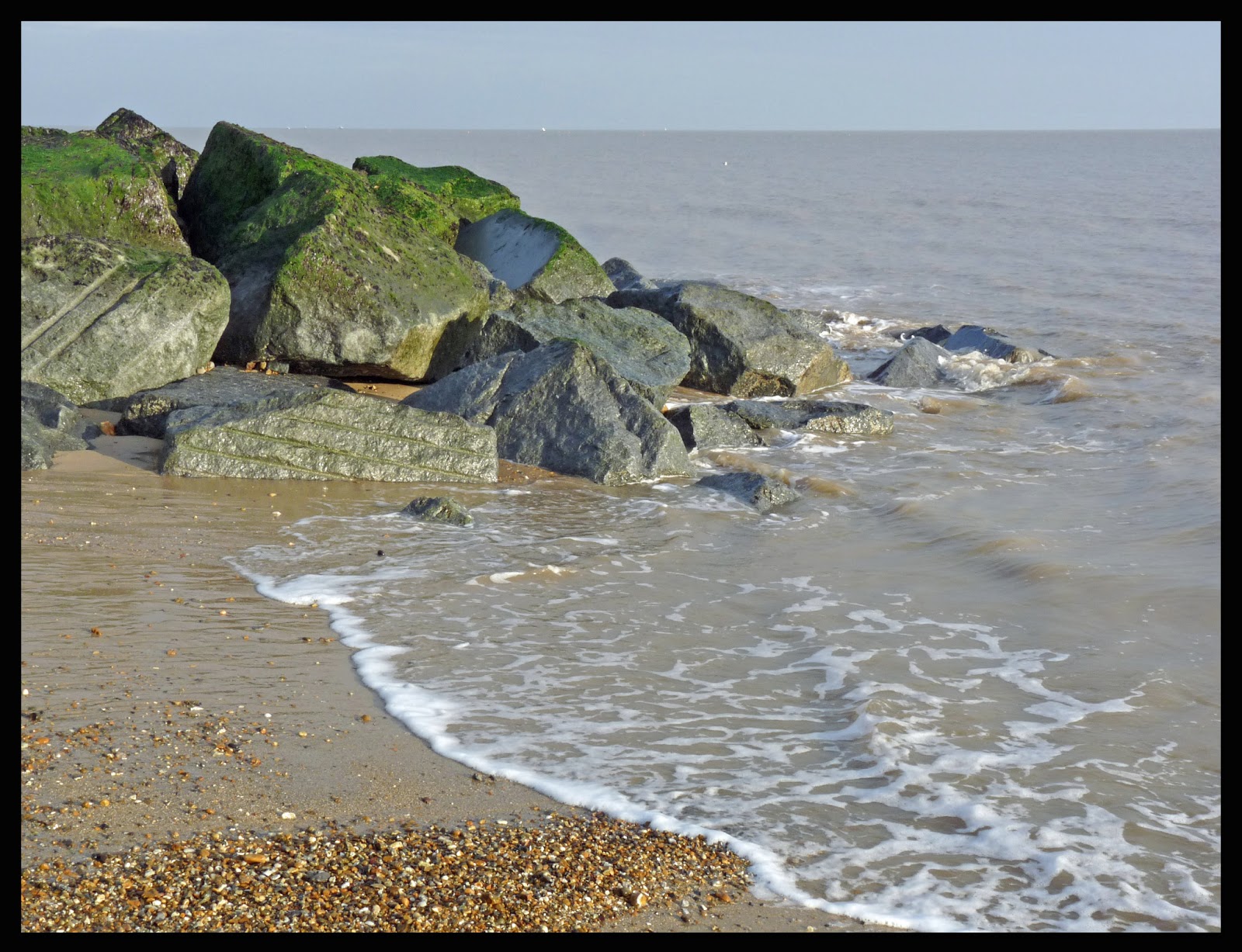 Wild and Wonderful: February 2013