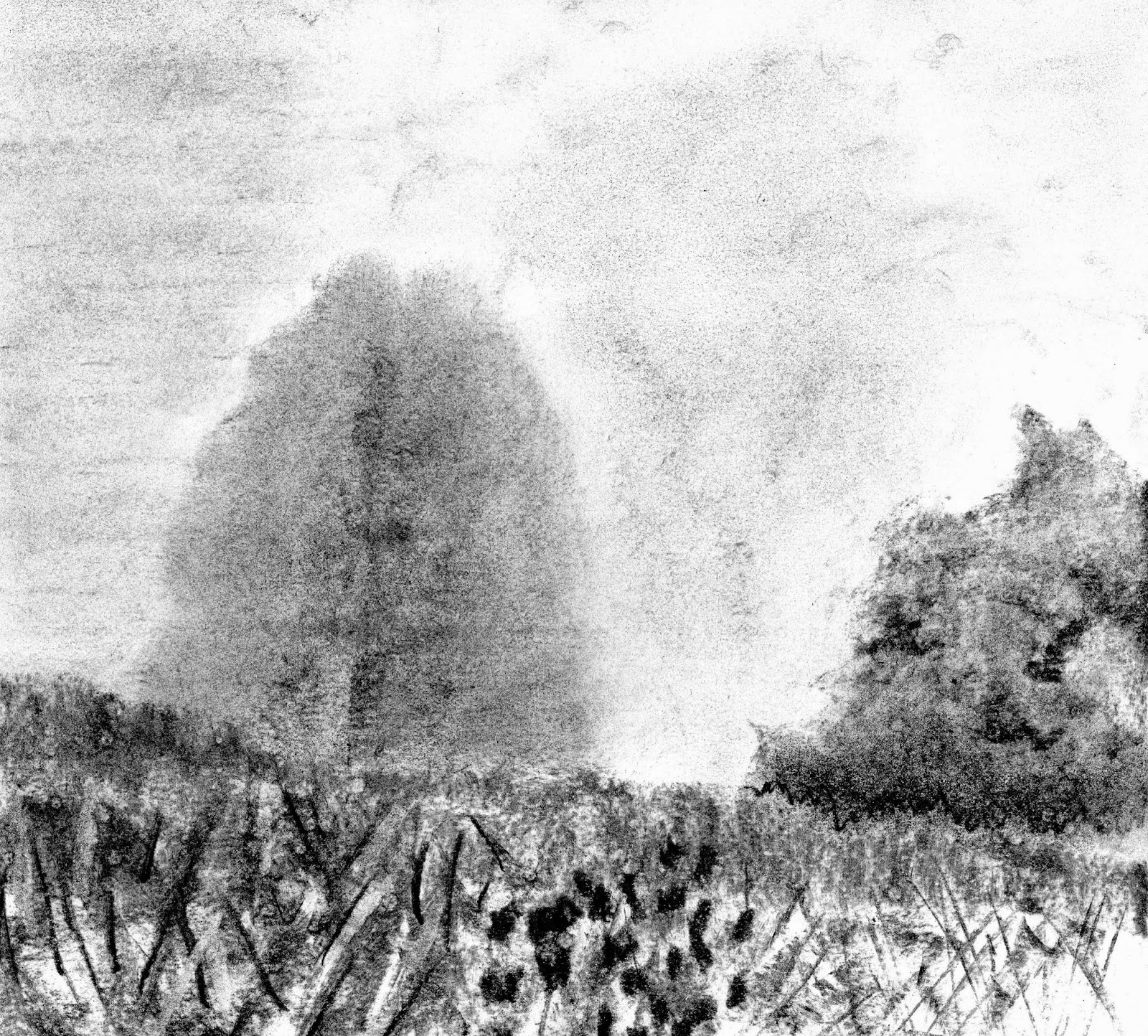 Drawing Skills: Part 3 Project 1 Ex 3
