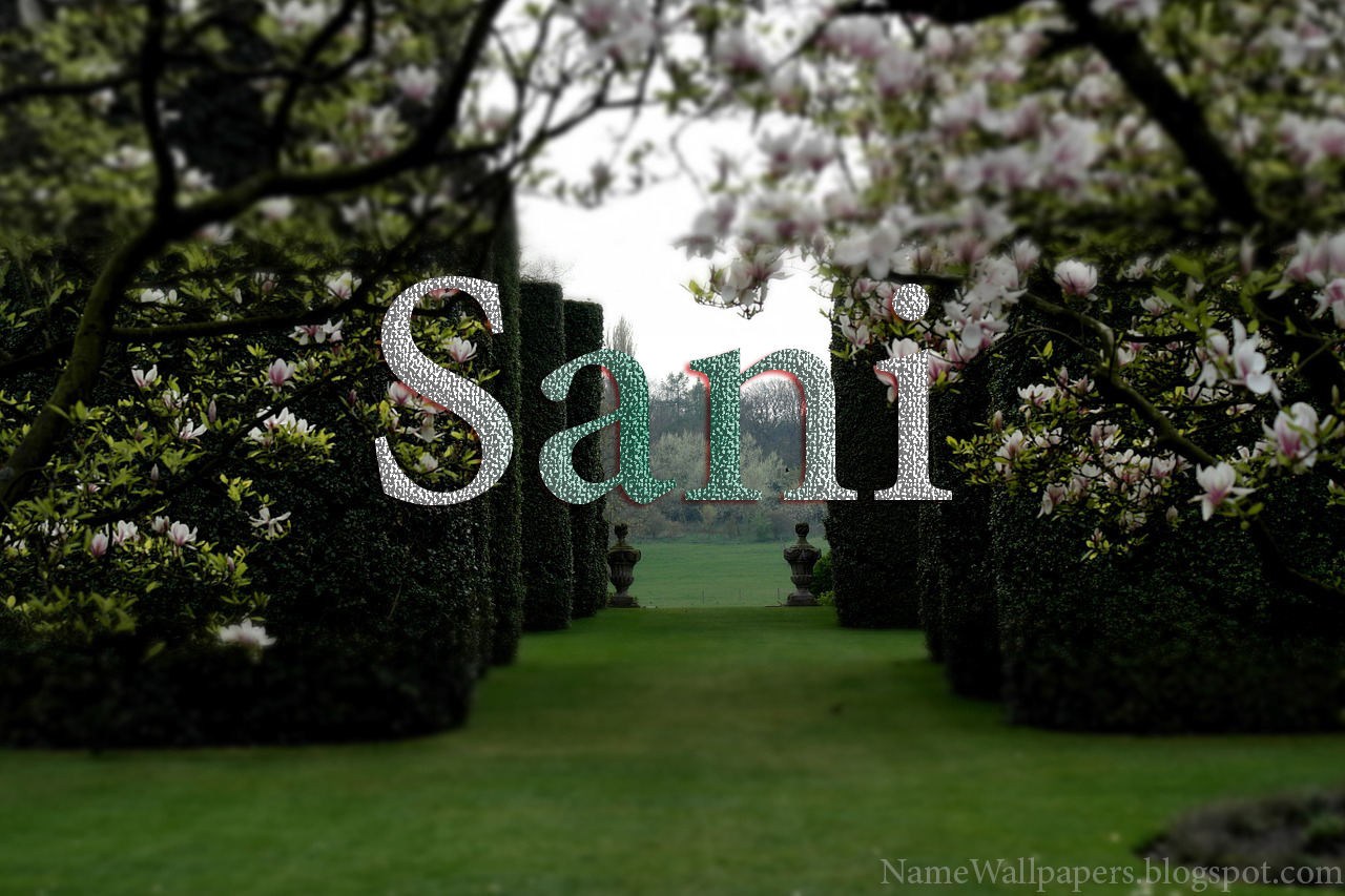 Sani Name Wallpapers Sani ~ Name Wallpaper Urdu Name Meaning Name ...