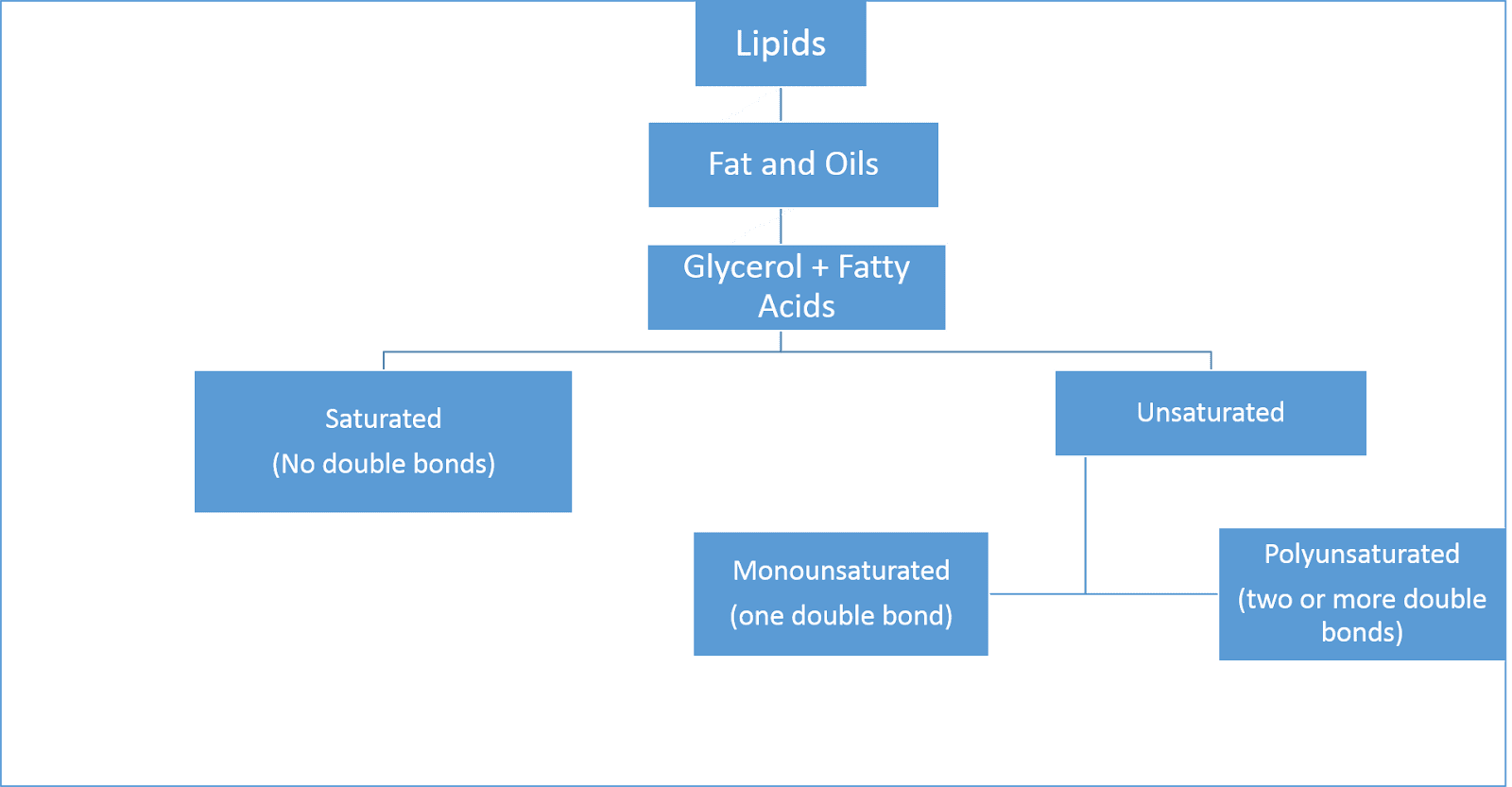 Food Science Notes for 2nd Semester HM students: UNIT - 3 FATS AND OILS