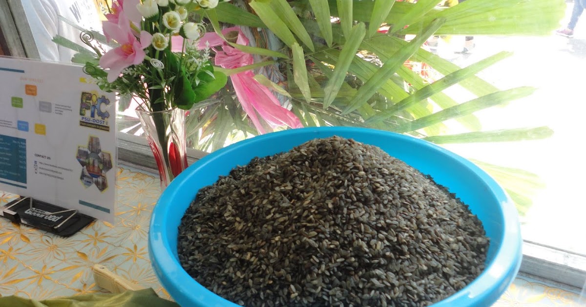 Bayambang Municipal News: Inlubi: Food for the goths