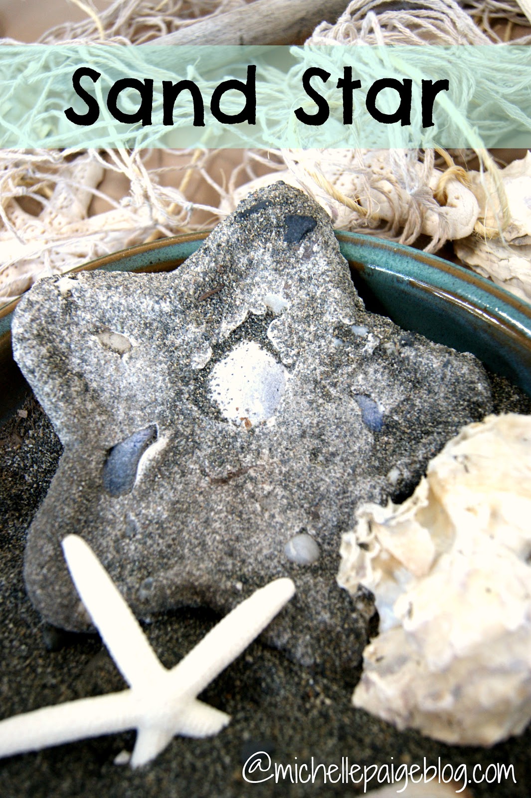 michelle paige blogs: Sand Stars and Book Winner