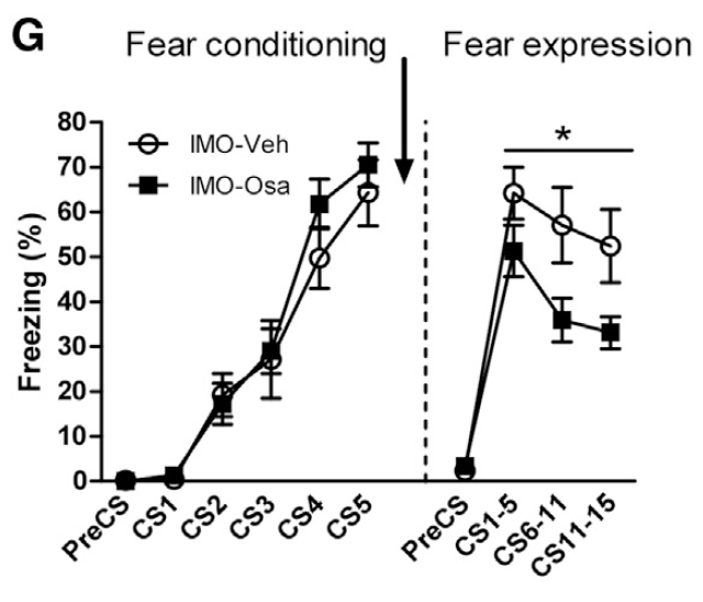 The Neurocritic: Can a Failed Schizophrenia Drug Prevent PTSD?