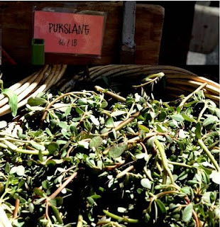 Naquem.: Kamote (Sweet Potato) and Gulasiman/Ngalog (Purslane) in America