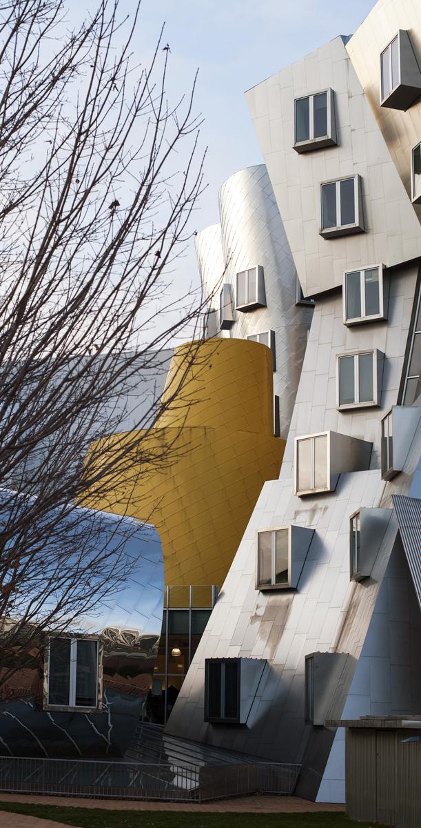 Frank Gehry – a f a s i a