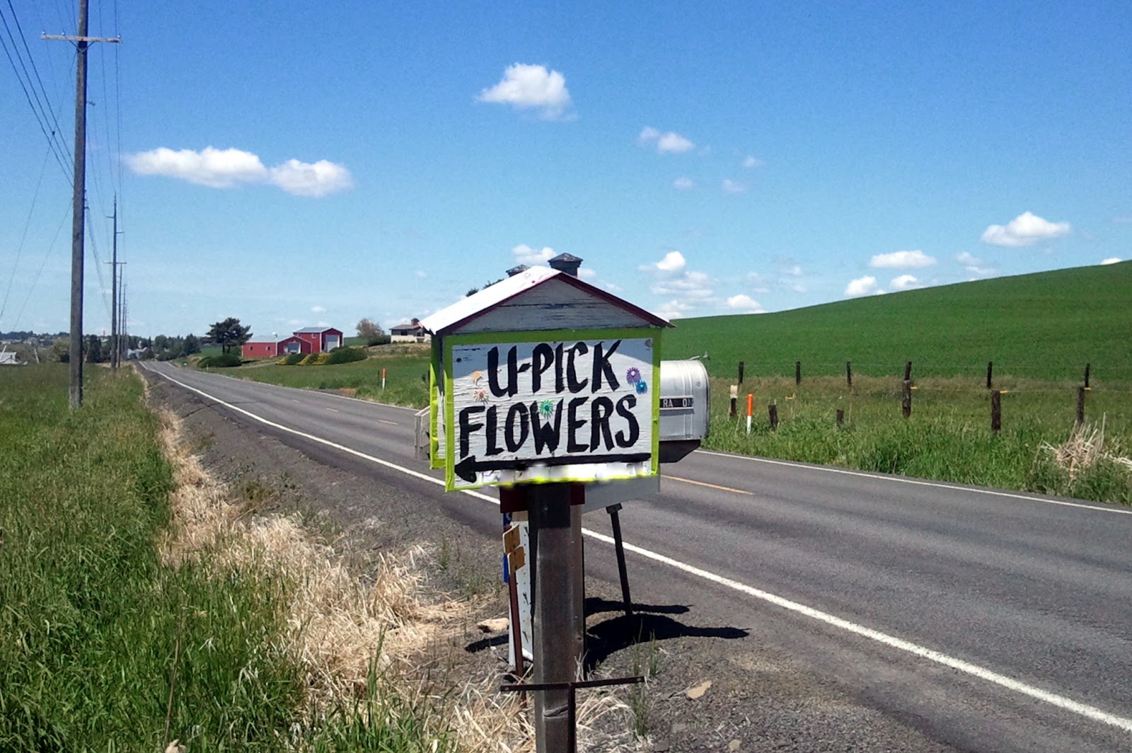 Stardust Designs: The Lupine Lady