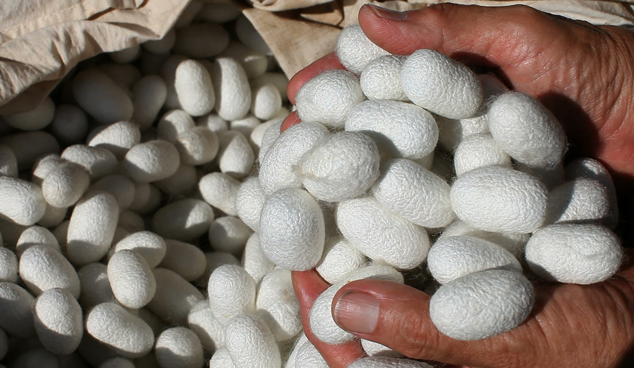 FLEXIBLE THINKING: Product Introspection: Mawata