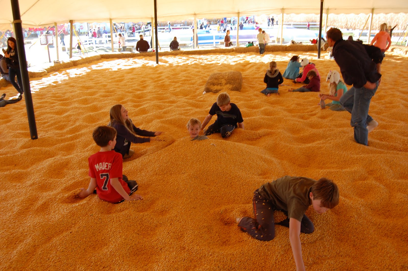 Apple Valley Mom and kiddos too!: Sever's Corn Maze