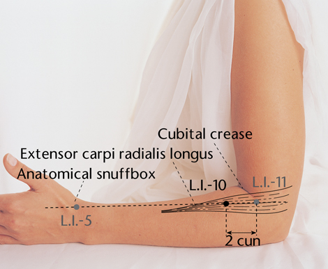 LI 10. Shousanli / Sao San Li (Tiga Mil / Tangan) - Terapi Jarum
