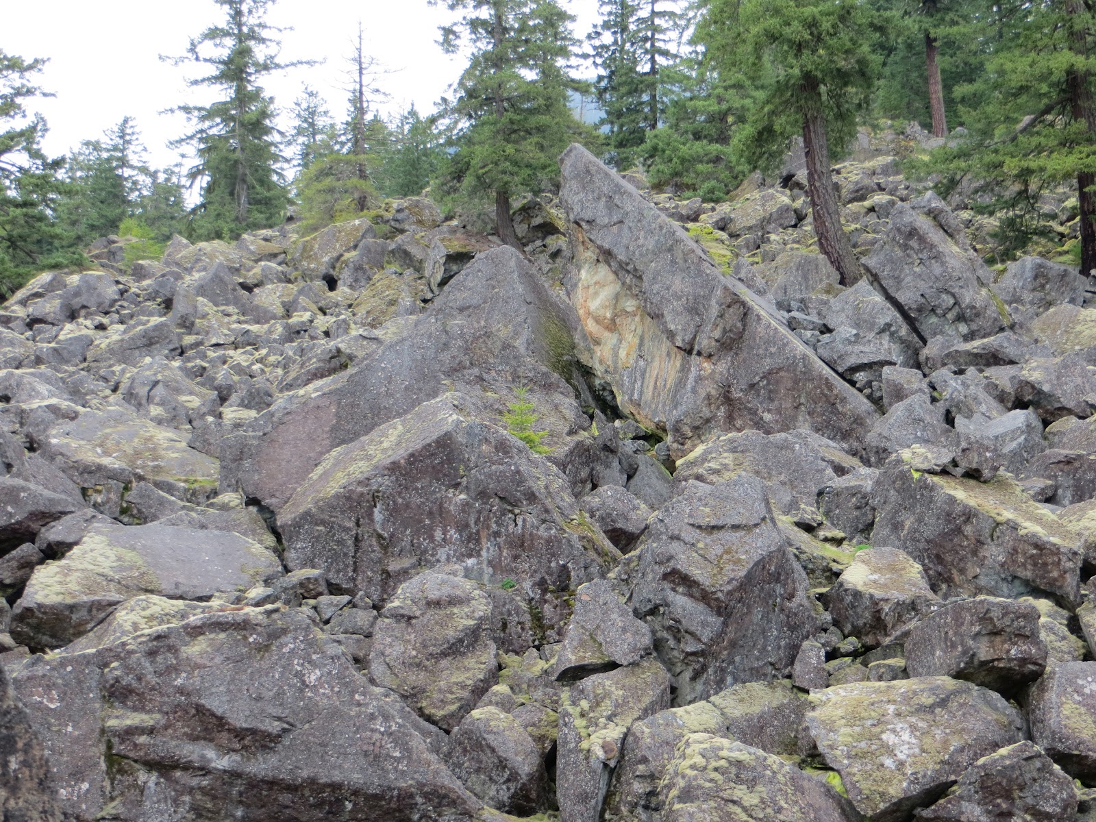 My Pacific Northwest: Devil's Rock Garden 4-28-12