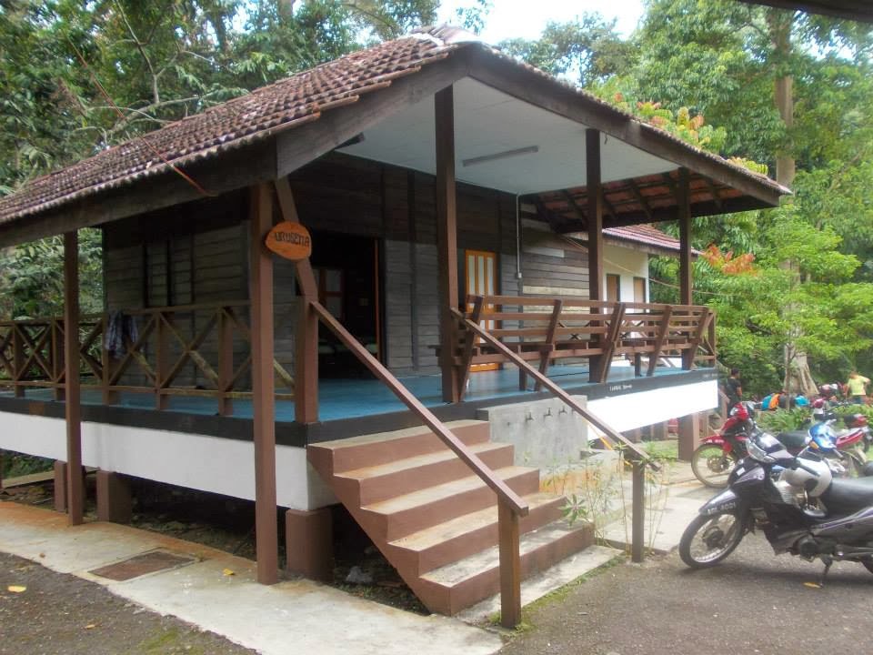 Bird Watching In Pengkalan Hulu Perak - kampongpengkalan