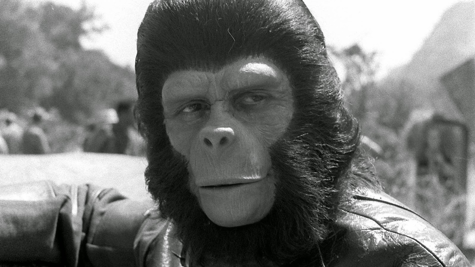 Archives Of The Apes: Planet Of The Apes: The TV Series (1974)