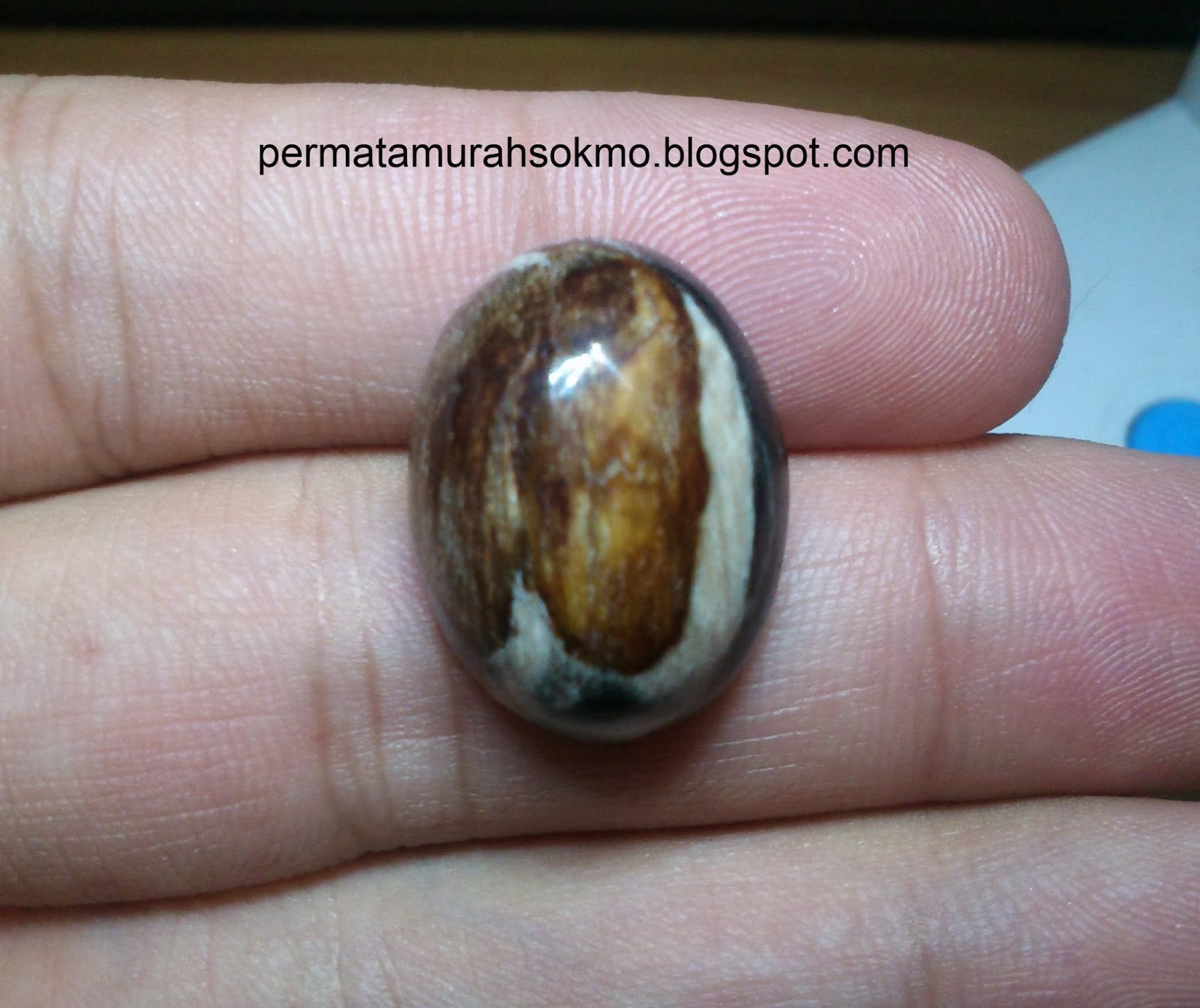 PERMATA MURAH SOKMO: PERMATA KAYU KELOR JADI BATU ASLI - RARE! : SOLD OUT