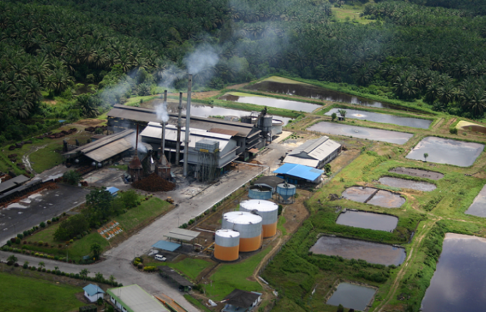 Kembara Insan / Engineer's Blog: Operasi Kilang Sawit / Palm Oil Mill ...