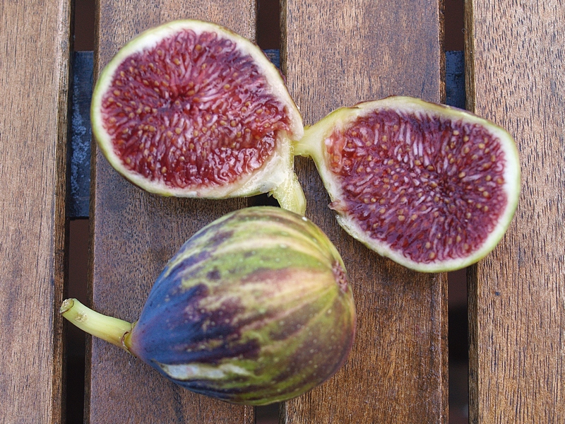 Seattle Garden & Fruit Adventures: The allure of Striped figs